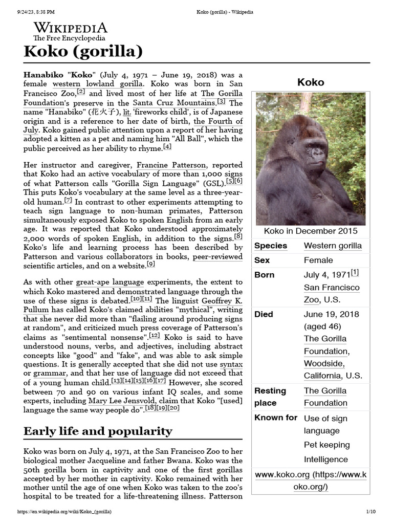 Koko (Gorilla) - Wikipedia | PDF