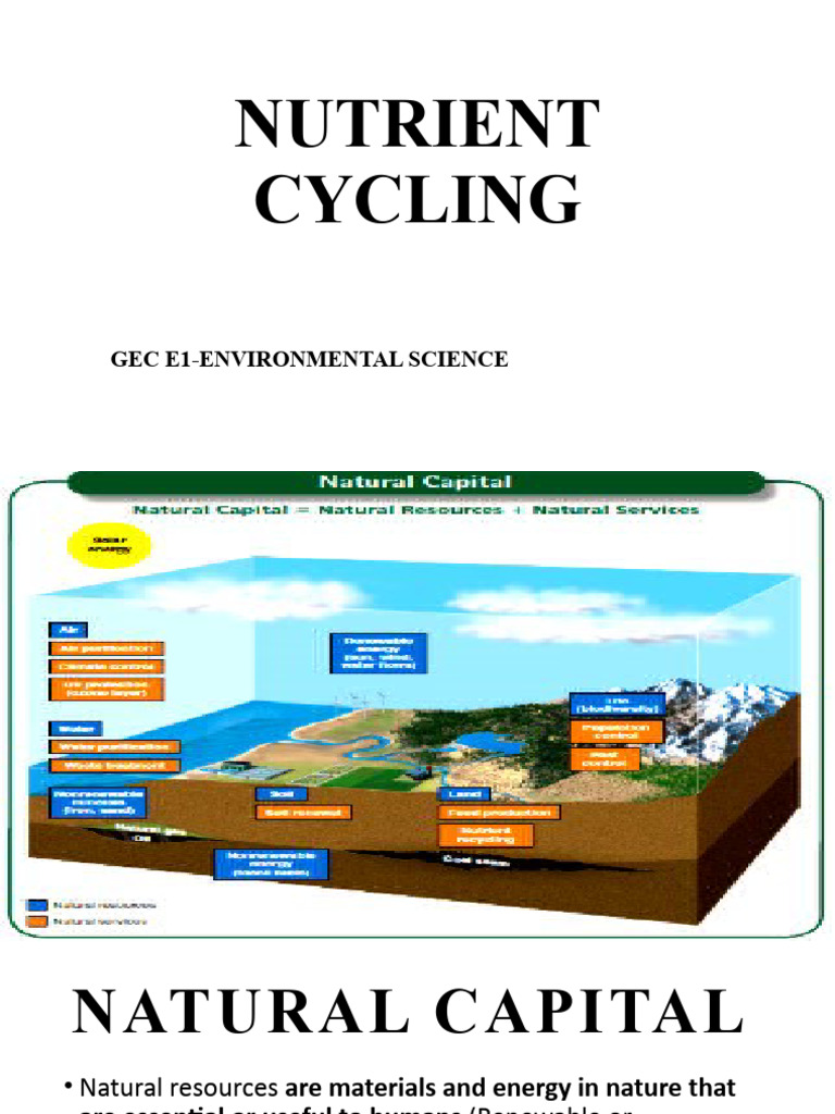 Nutrient Cycling | PDF | Nature | Ecosystem