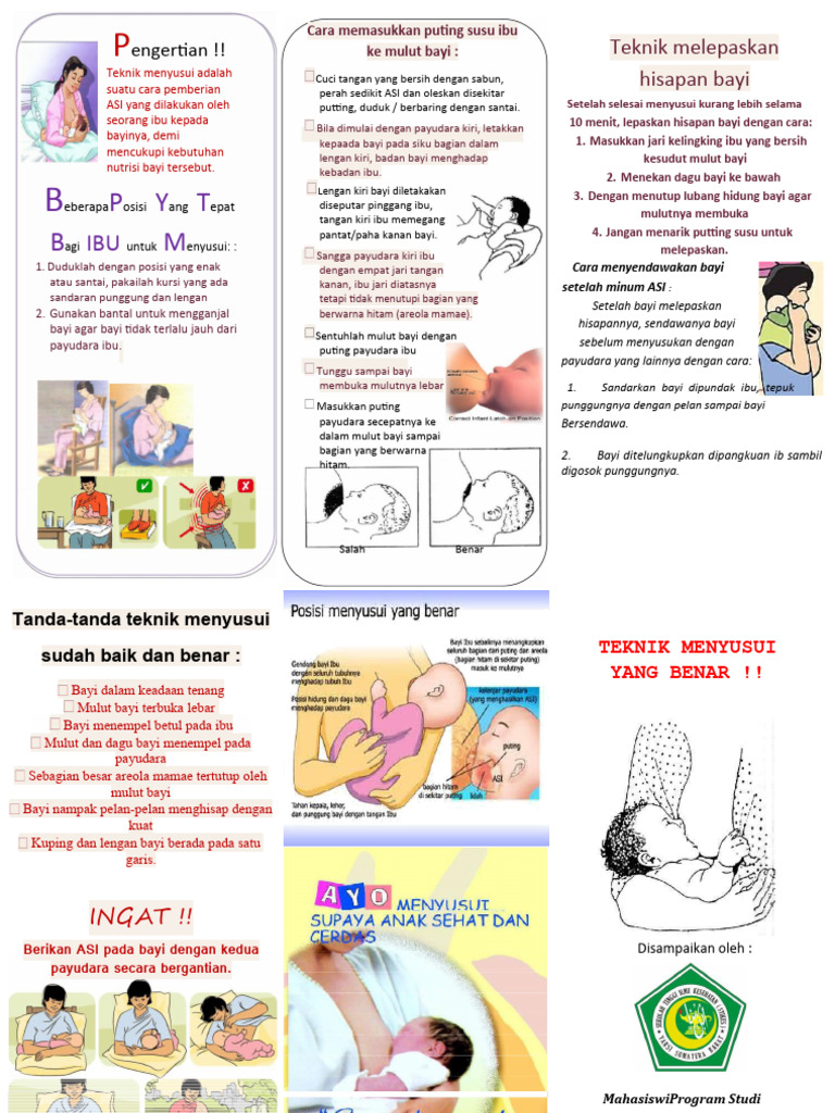 Leaflet Teknik Menyusui Baru | PDF