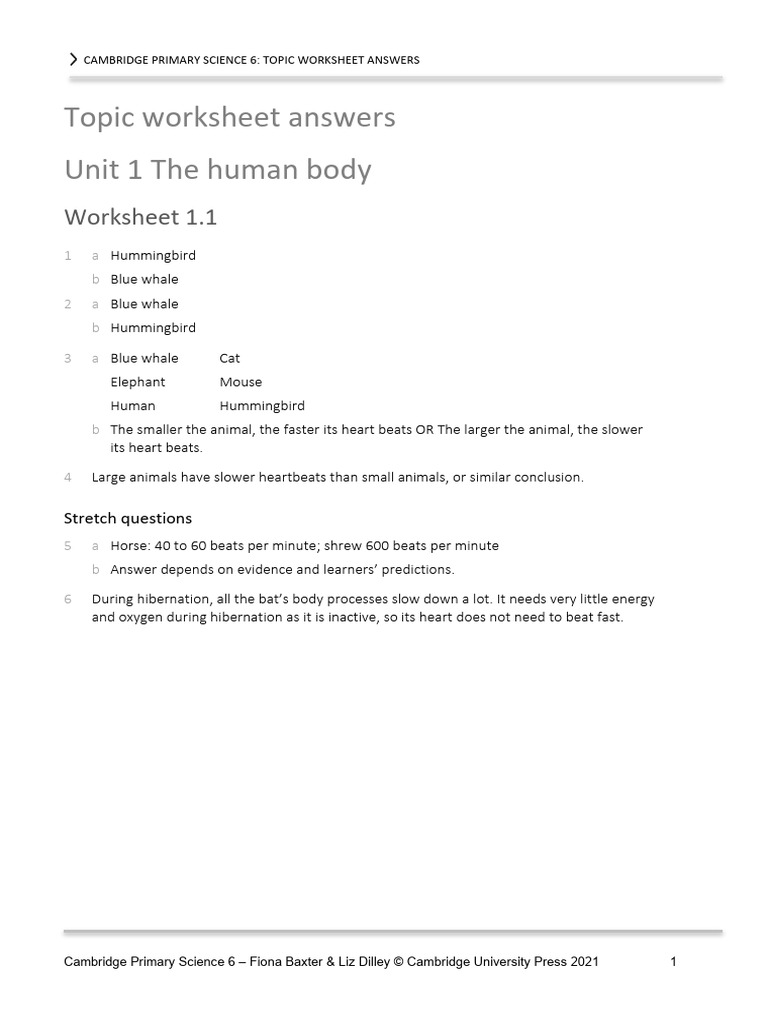 P Science 6 Worksheet Answers | PDF | Optical Fiber | Breathing