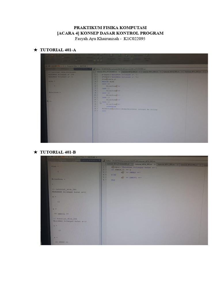Kontrol Program dalam Fisika Komputasi | PDF