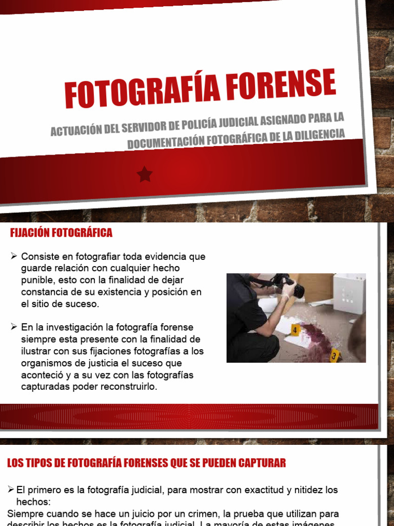 Fotografía Forense | PDF | Lente de la cámara | Ultravioleta