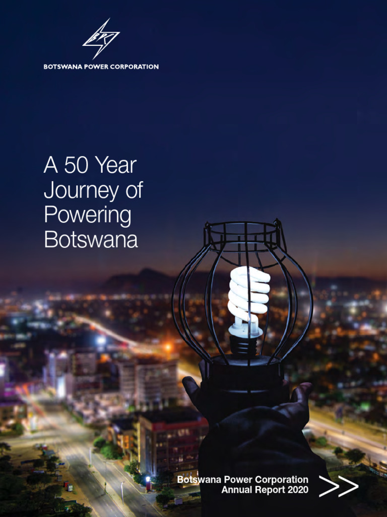 BPC Annual Report 2020 | PDF | Fixed Asset | Expense