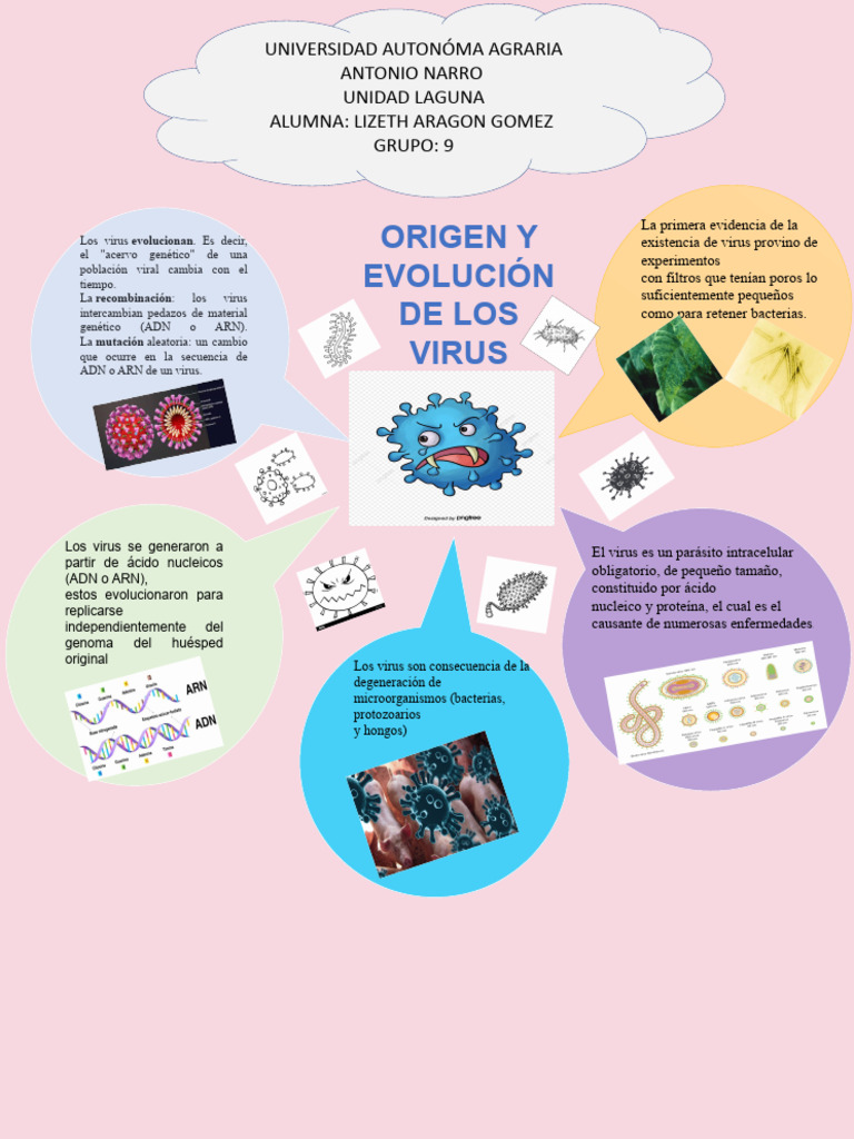 Infografia Origen y Evolucion de Los Virus | PDF
