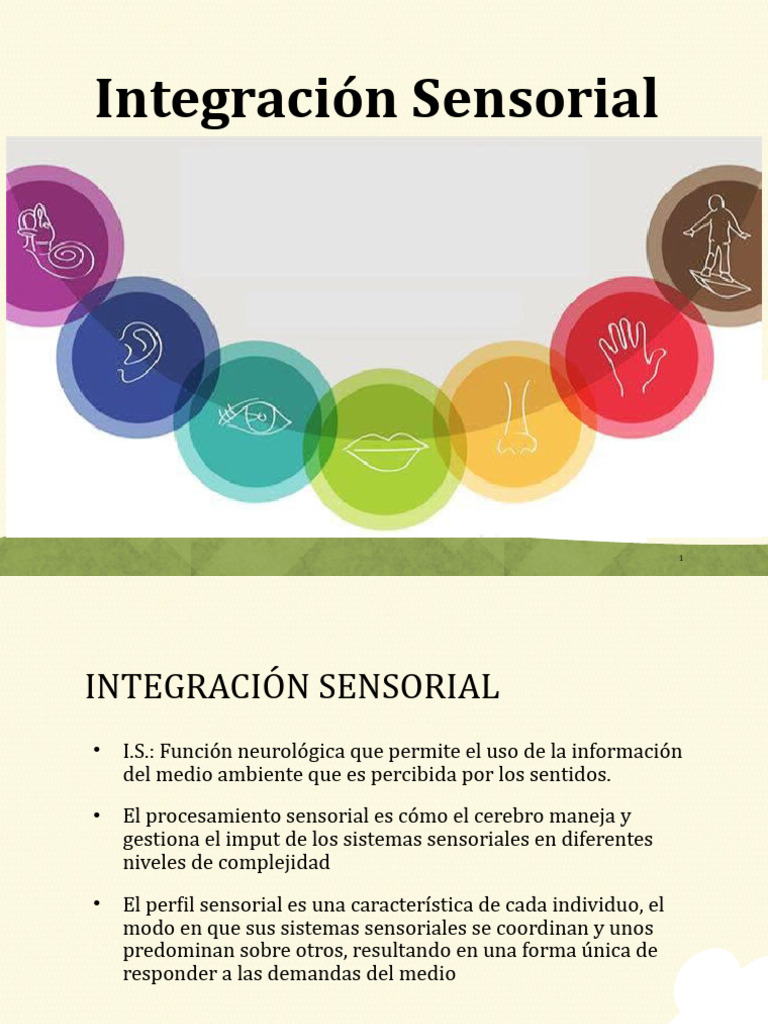 Integracion Sensorial 2 | PDF