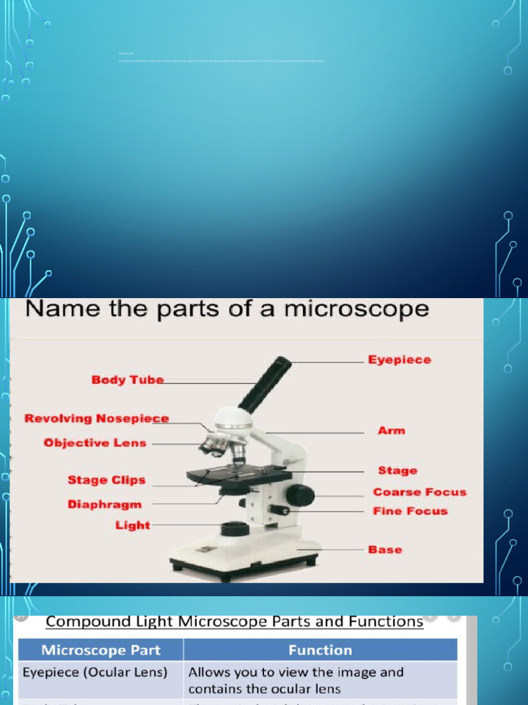 Microscope | PDF