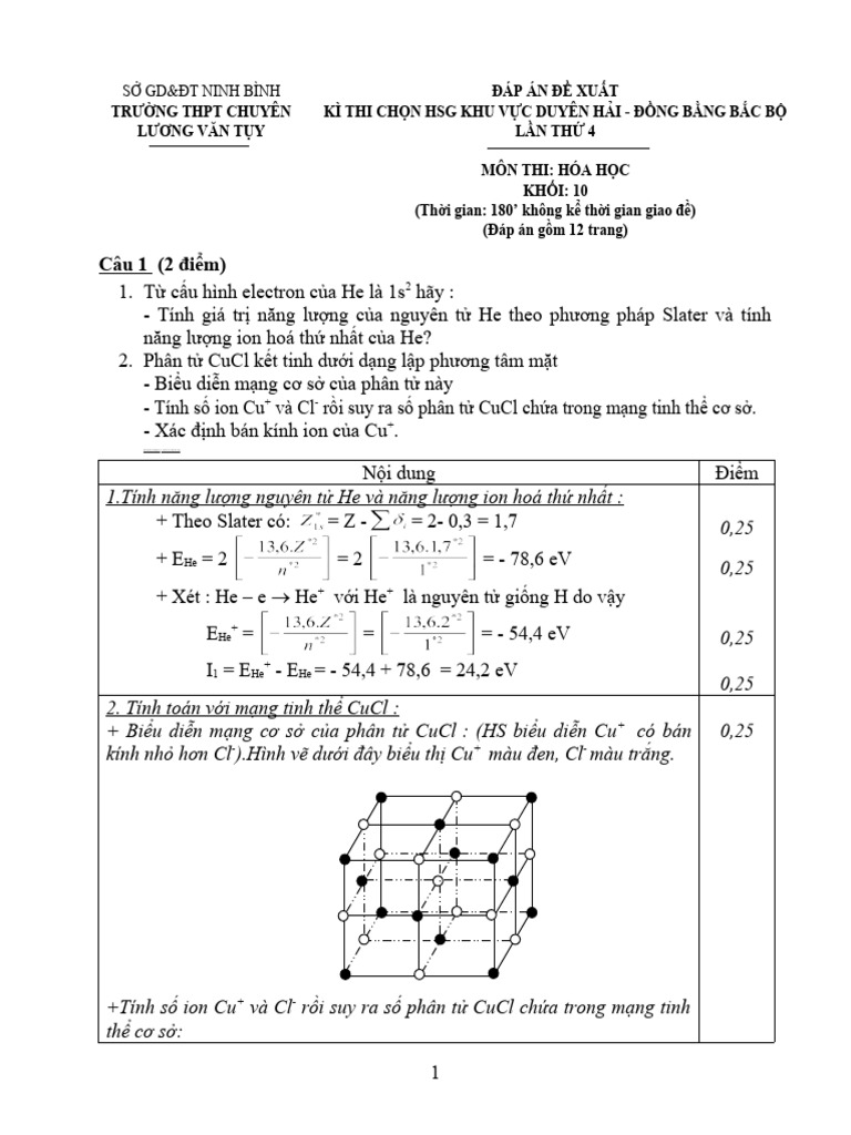 Dap An HSG 10 Duyen Hai | PDF