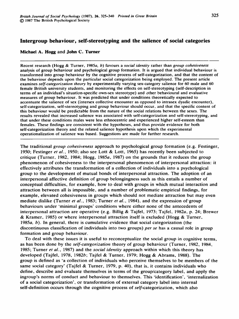 Intergroup Behaviour, Self-Stereotyping and The Salience of Social Categories | PDF