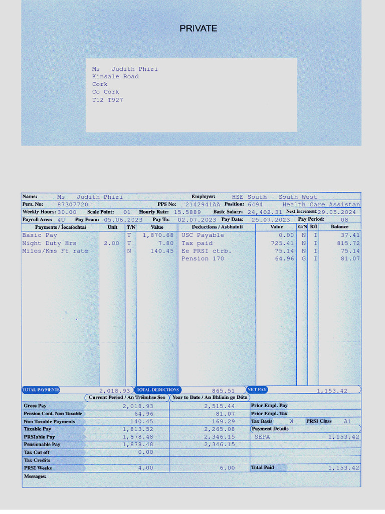 Paystub 202308-1 | PDF