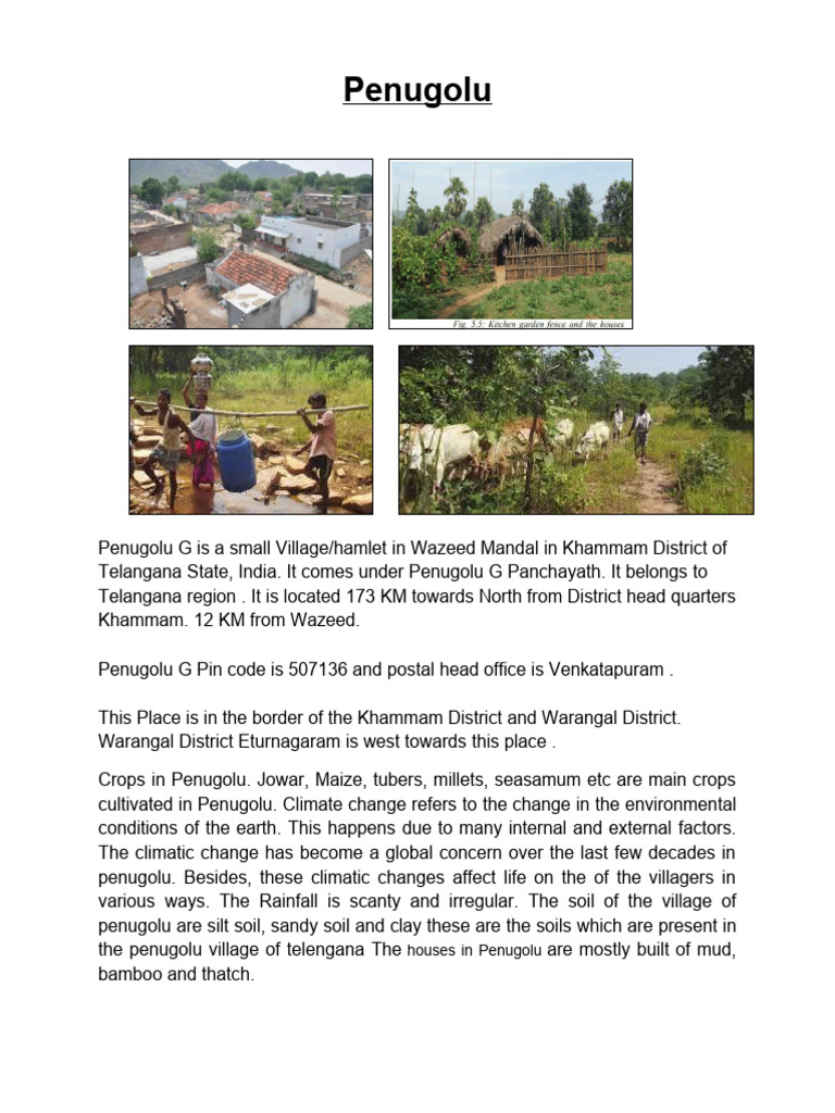 Penugolu Village | PDF