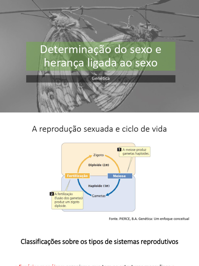 Slides - Determinao Do Sexo e Herana Ligada Ao Sexo | PDF | Sexo | Cromossomo