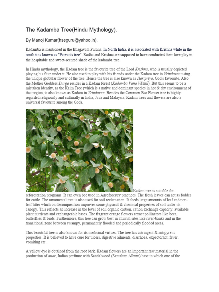 The Kadamba Tree. | PDF