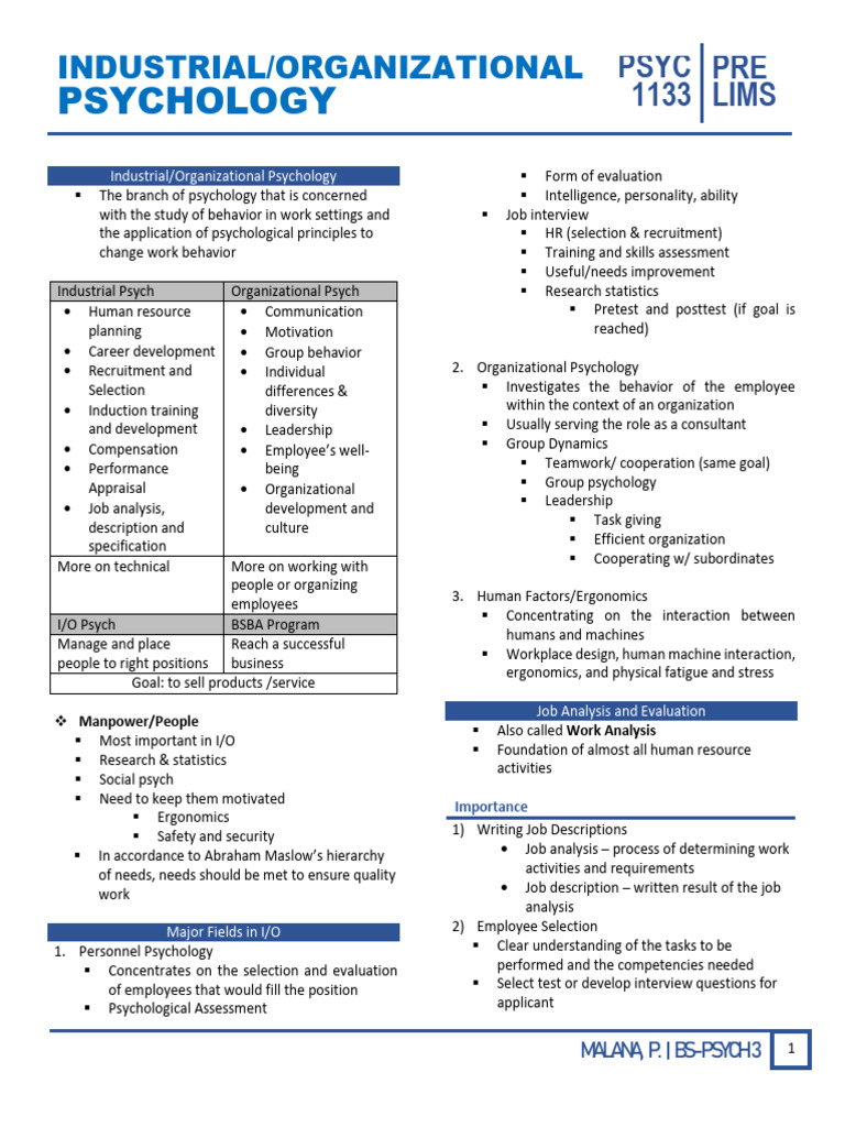 Io Psych | PDF | Industrial And Organizational Psychology | Business
