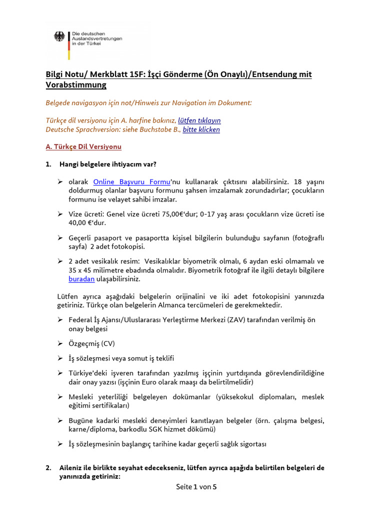 15f Entsendung Mit Vorabzustimmung Data | PDF