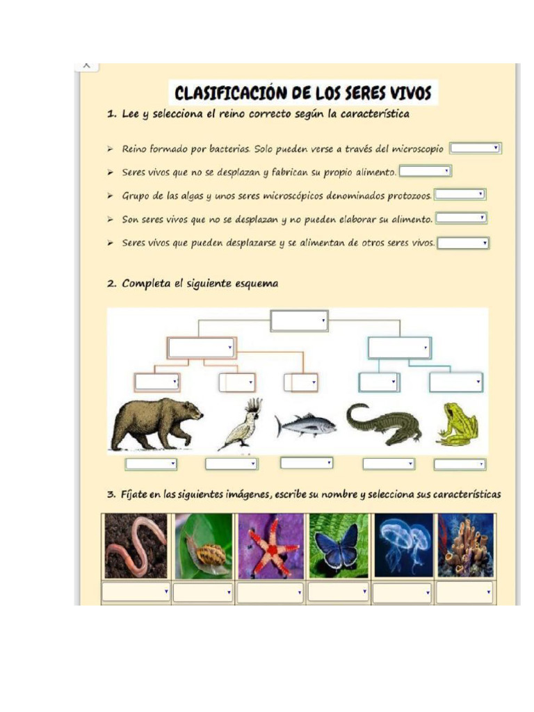 Animales Ejercicios Clasificacion | PDF