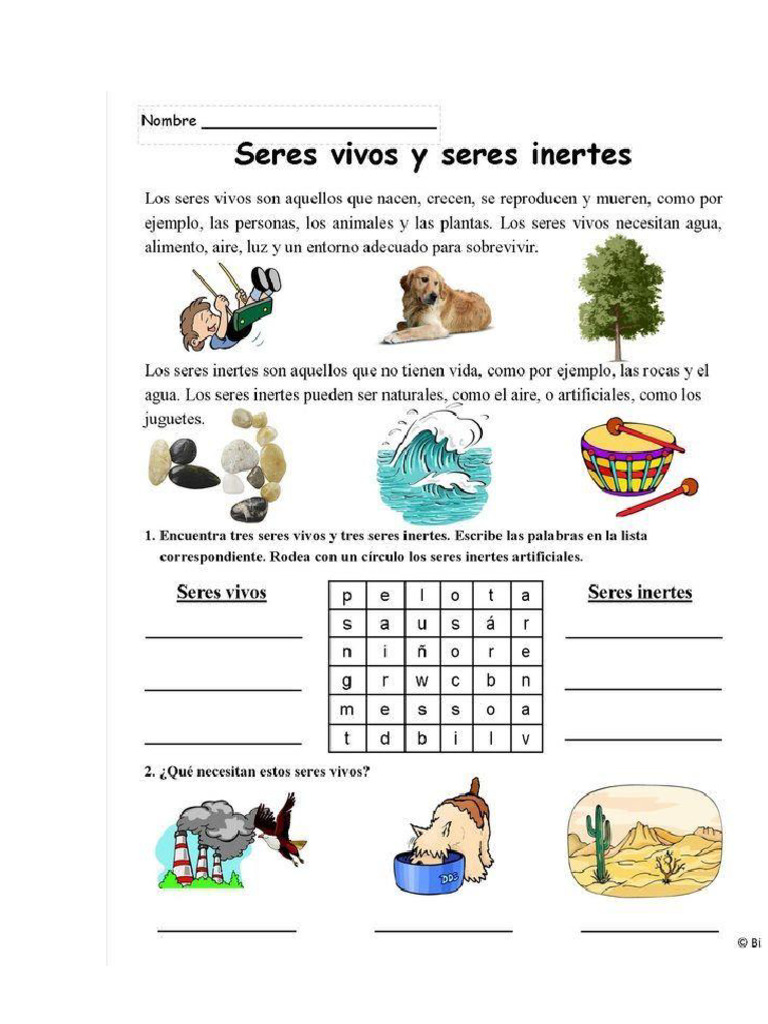 Caracteristicas de Los Seres Vivos | PDF