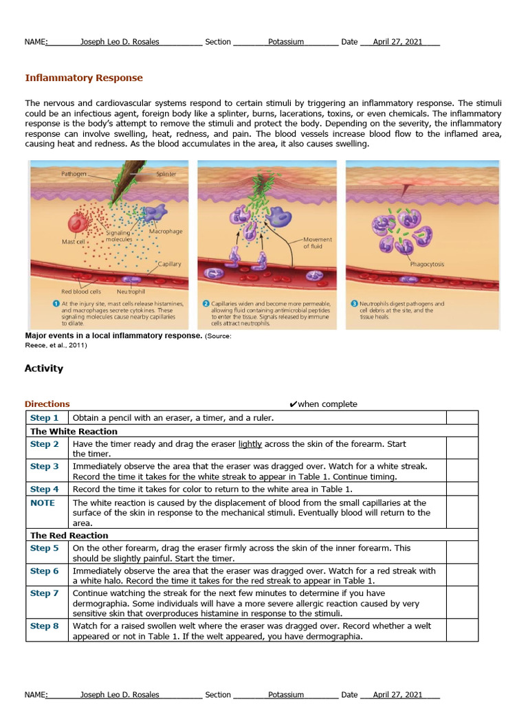 Alternative Activity 4Q-2 | PDF