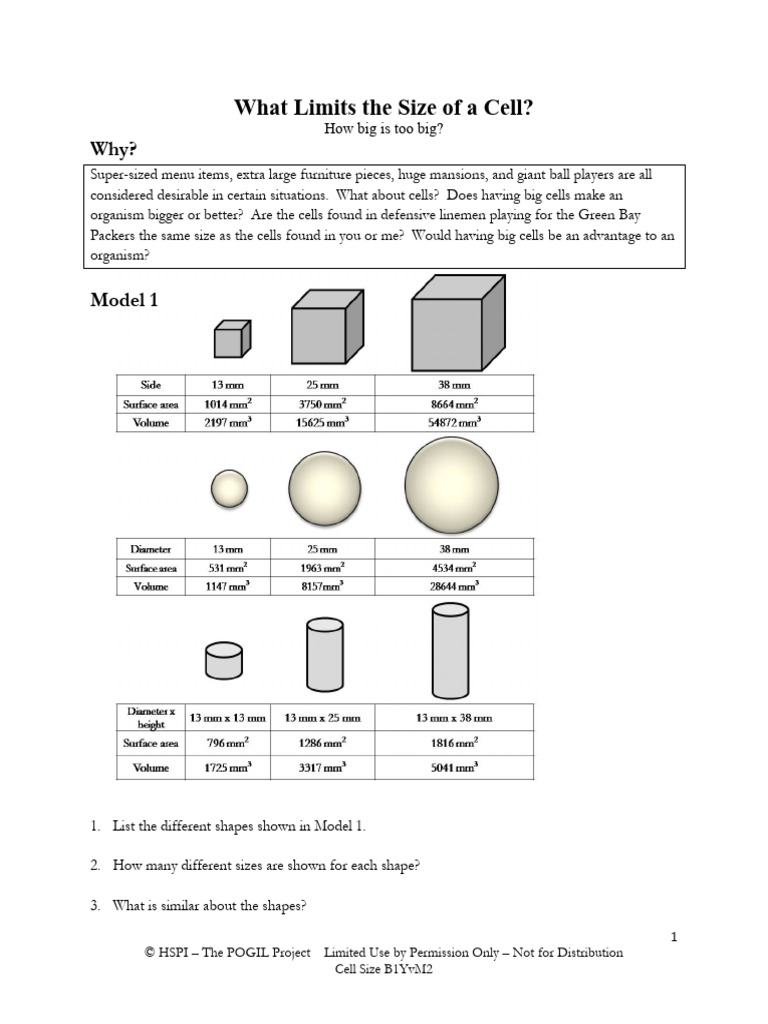 POGIL What Limits The Size of A Cell Student | PDF | Cell (Biology) | Area