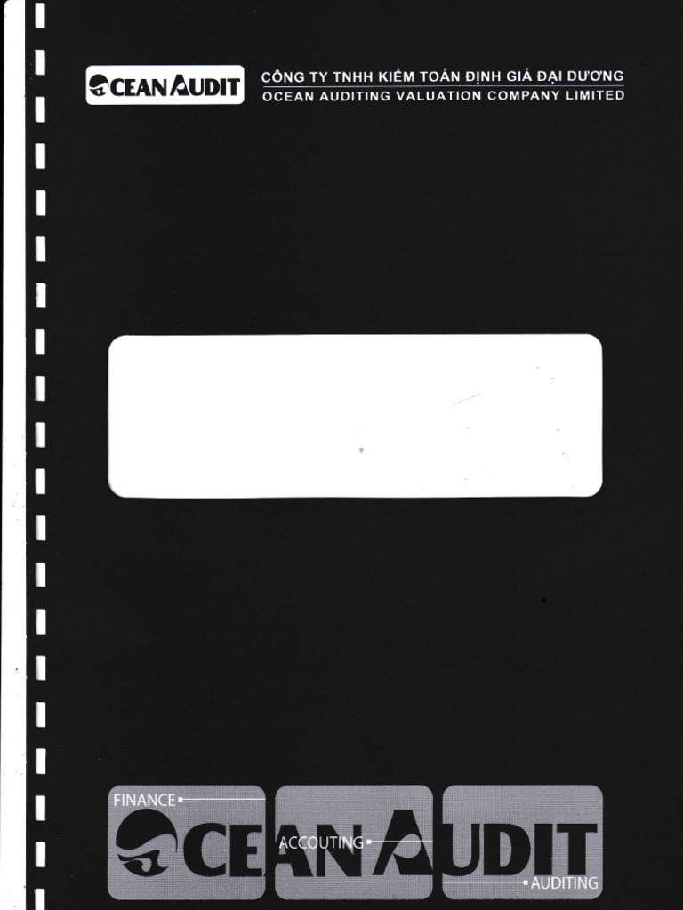 BCTC Năm 2022 Đã Kiểm Toán | PDF