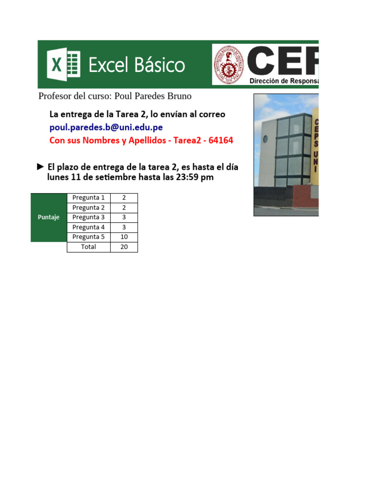 Tarea 2 - Excel Básico CEPS | PDF