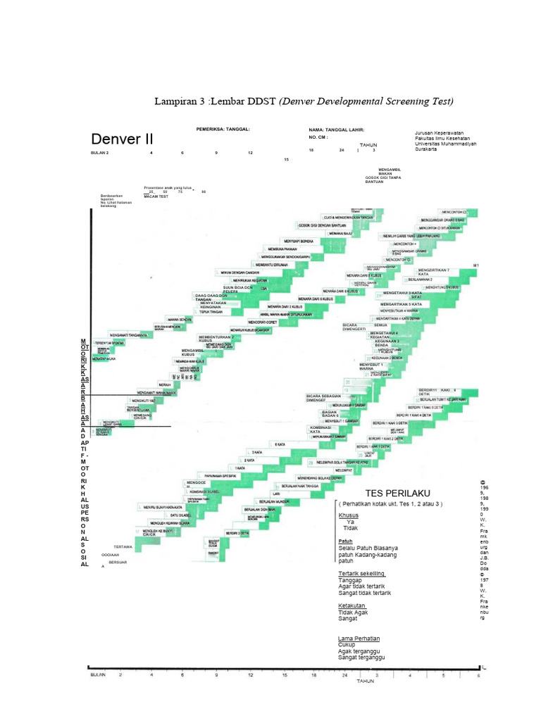 Lembar DDST Denver II untuk Anak | PDF