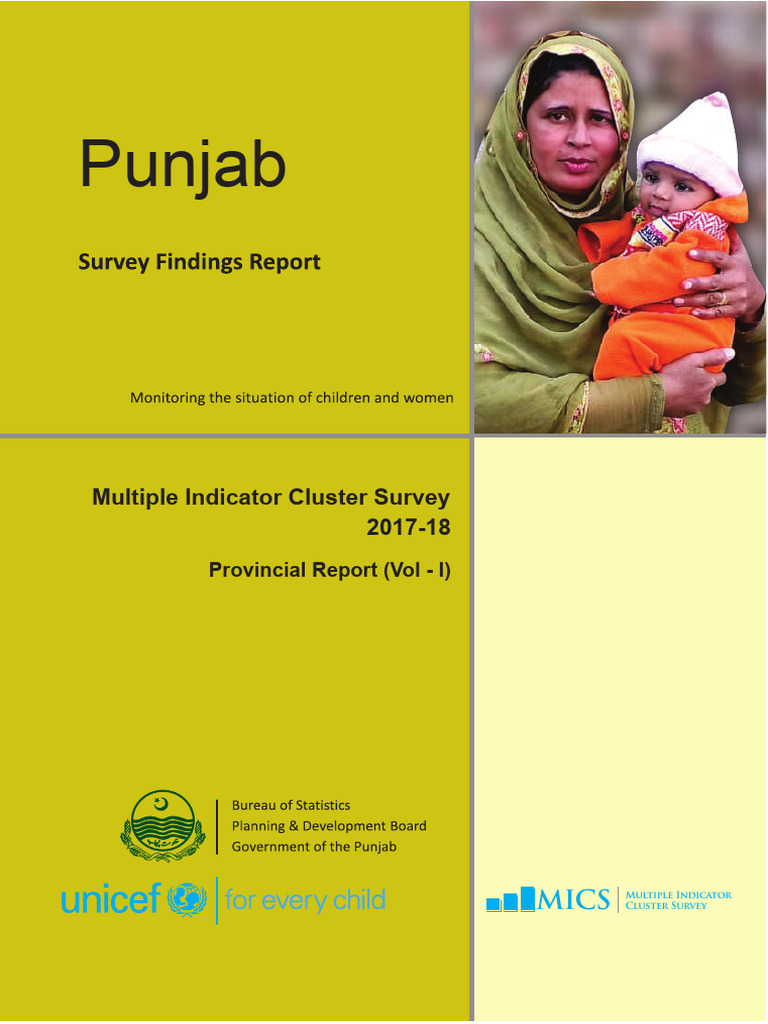 Multiple Indicator Cluster Survey 2017-18 - Punjab | PDF