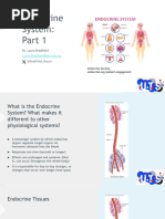 Grade 12 Endocrine System Notes | PDF | Endocrine System | Pancreas