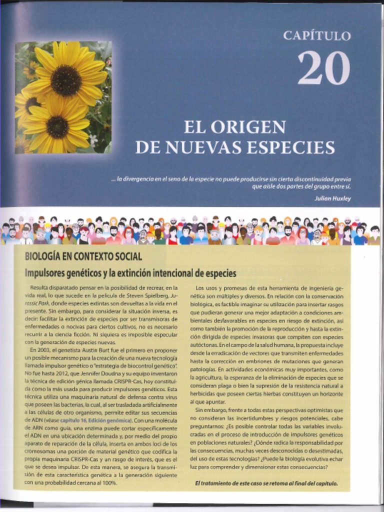 Biologia Cap 20 y 21 | PDF