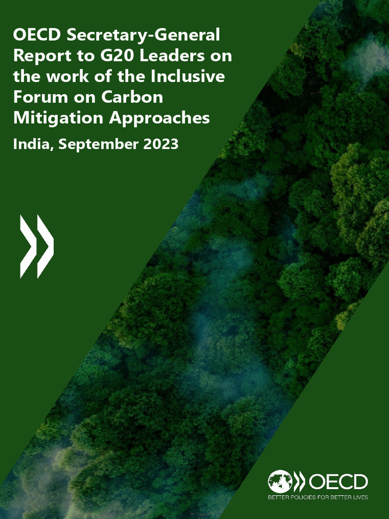 OECD Secretary-General Report To G20 Leaders | PDF