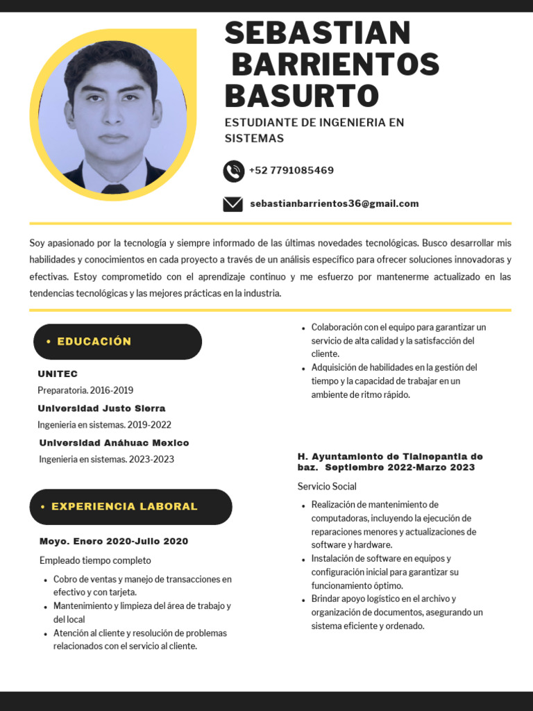 CV Sebastian Barrientos B. 2023 2 | PDF | Microsoft | Software