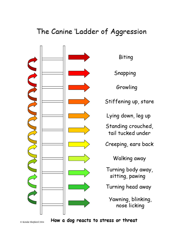 Canine Ladder of Aggression | PDF