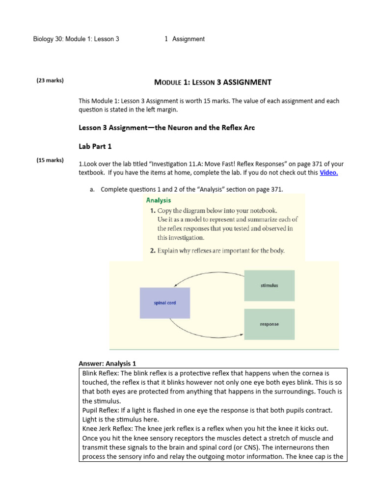 b30 m1 l03 Assignment | PDF | Stimulus (Physiology) | Neurophysiology