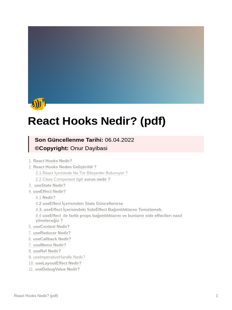 React Hooks NedirV2 | PDF