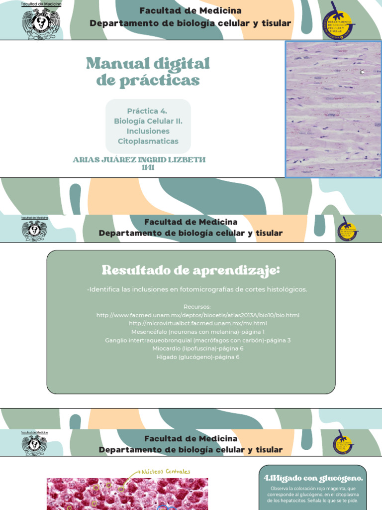 Práctica 4-ARIAS JUÁREZ INGRID LIZBETH | PDF | Biología Celular) | Tinción