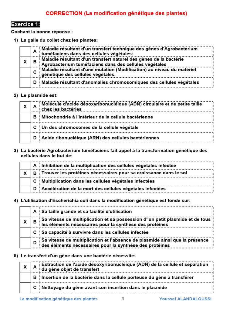 Modification génétique des plantes expliquée | PDF