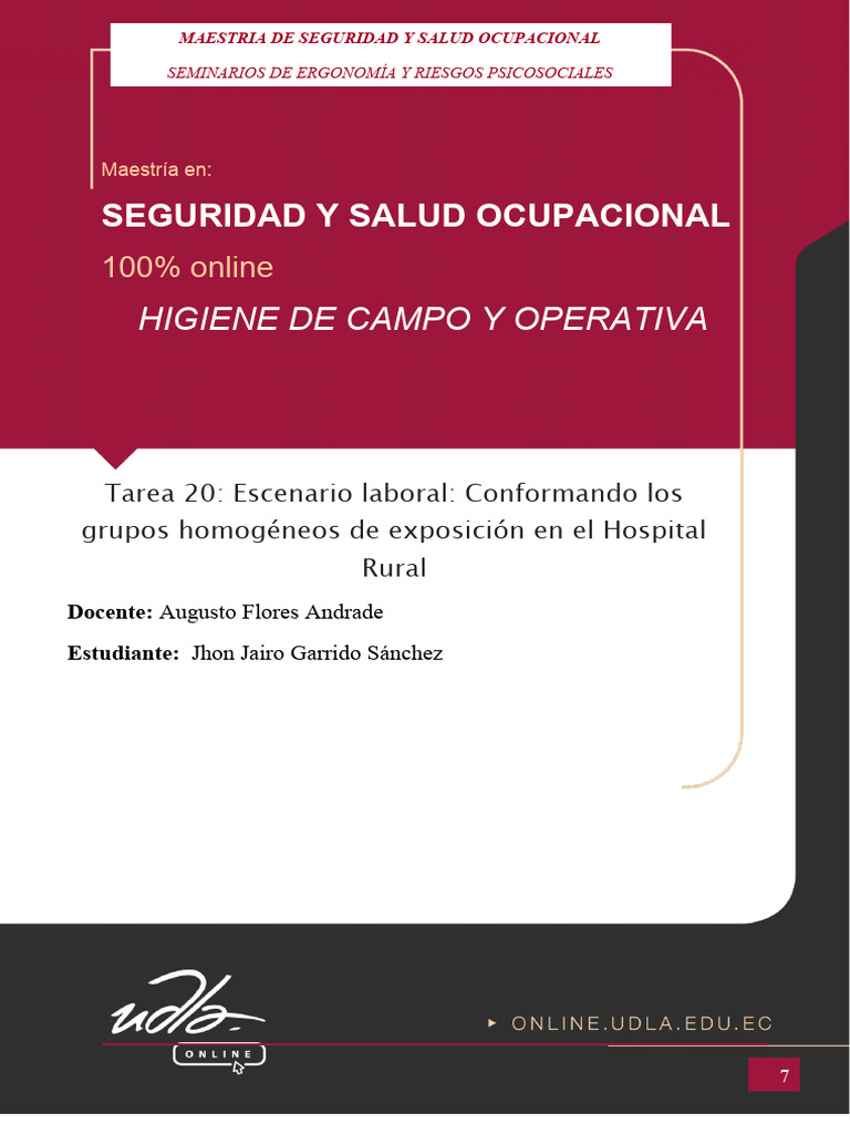 Tarea 20 - Conformando Los Grupos Homogéneos de Exposición en El ...