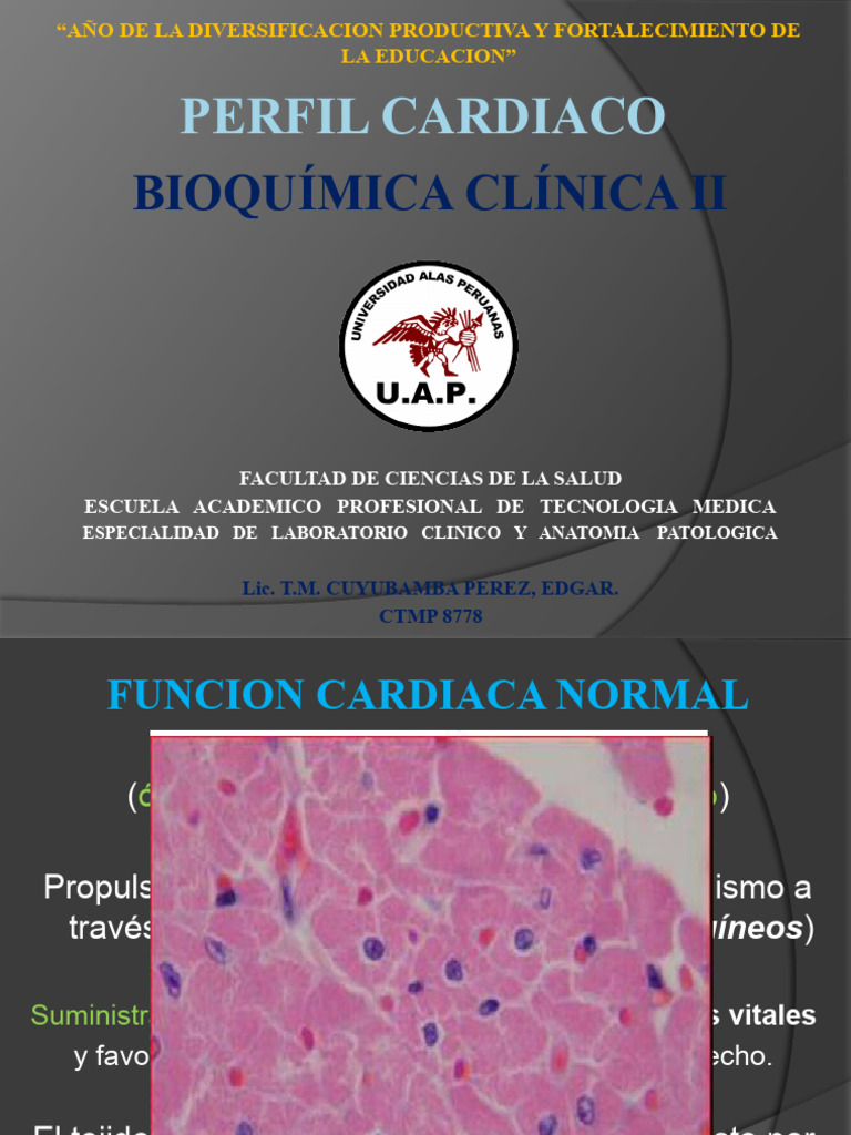 Perfil Cardiaco 3 | PDF
