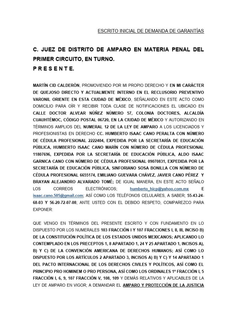 Demanda de Amparo Ind Martin Cid Vs Auto de Vinculacion Al 85 Por ...