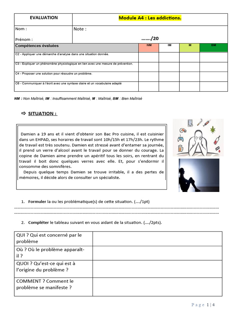 Bac Pro EVALUATION Addictions | PDF
