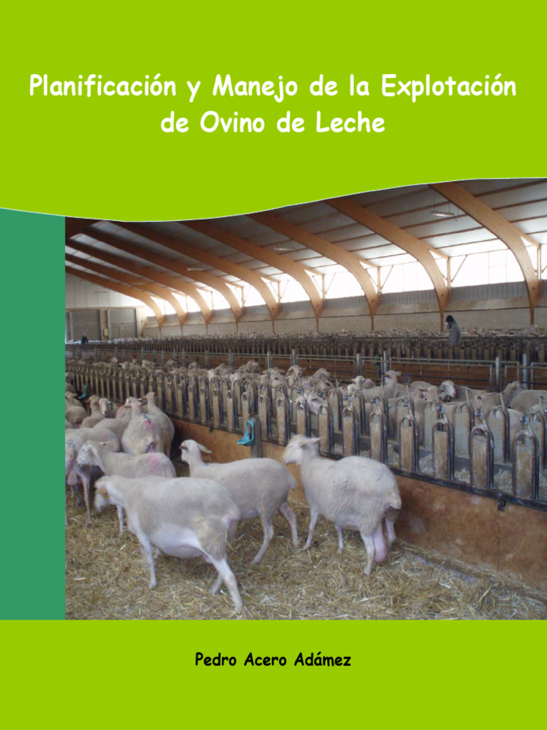 51 Leche Ovejas | PDF