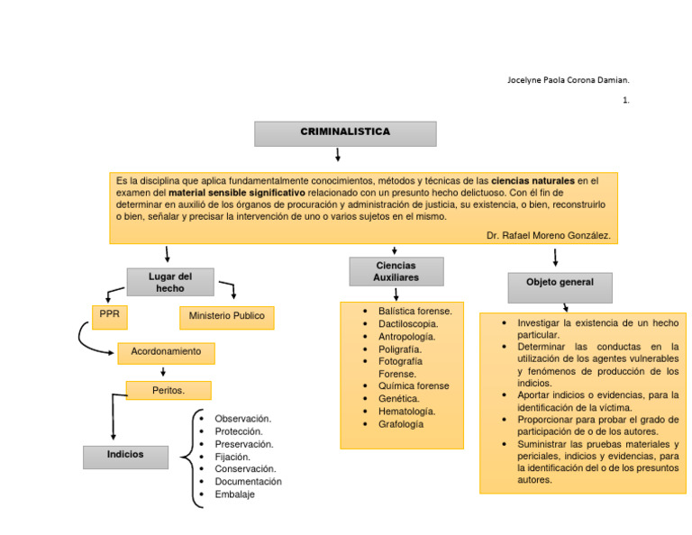 Mapa Conceptual | PDF | Ciencia forense | Science