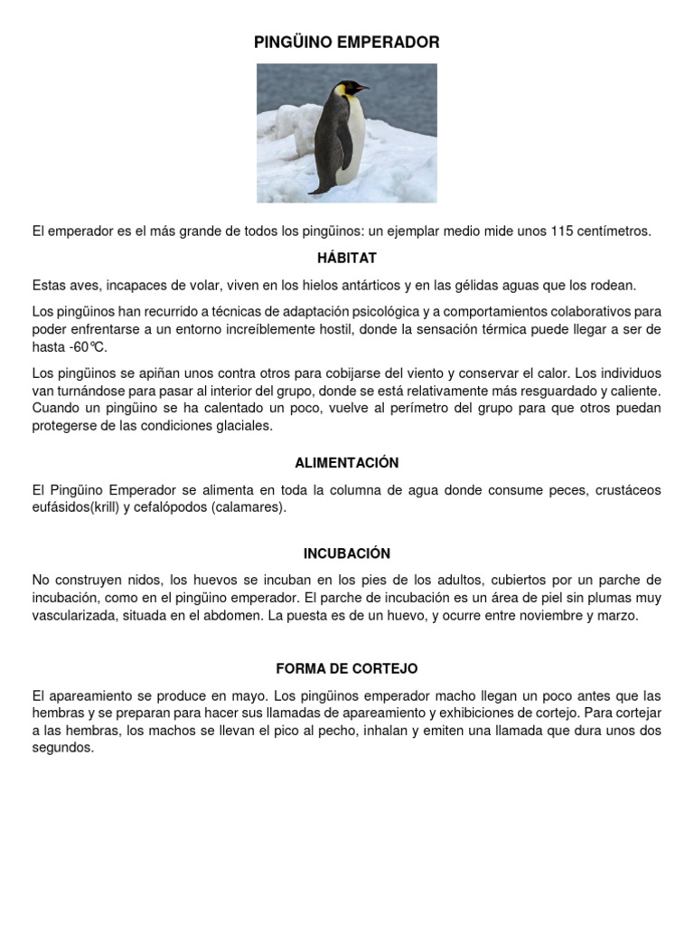 Animales y Su Habitat | Descargar gratis PDF | Gatos | Tortuga