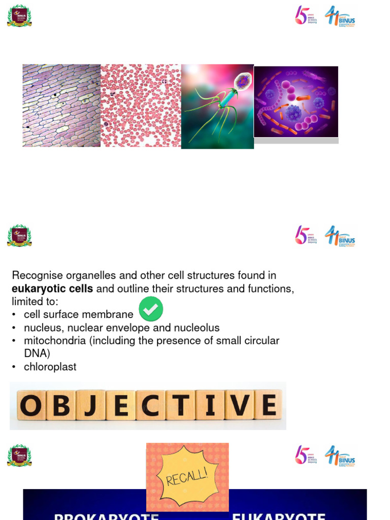 Cells 2PPT 2022 | PDF