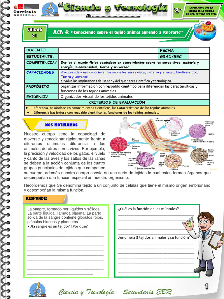 D2º Act 4 Cyt Unid 1 - Sem 4 | PDF