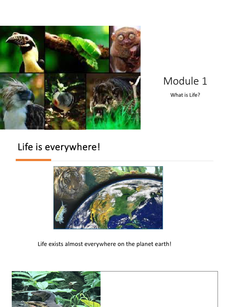 Module+1 +What+is+LIFE | PDF | Life | Cell (Biology)