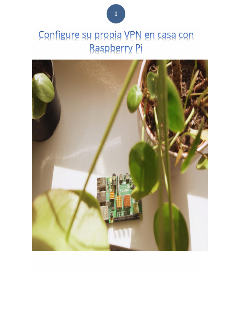 Configure Su Propia VPN en Casa Con Raspberry Pi | Descargar gratis PDF | sistema de nombres de ...