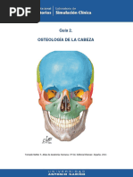 El Colículo Superior | PDF | Anatomía humana | Neurociencia
