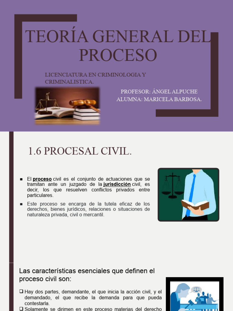 Teoría General Del Proceso | PDF | Ley procesal | Procedimiento Civil