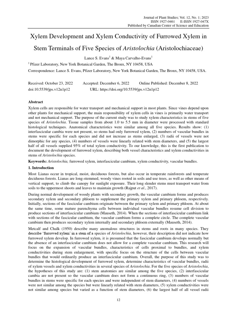Xylem Development and Xylem Conductivity of Furrowed Xylem in Stem Terminals of Five Species of ...