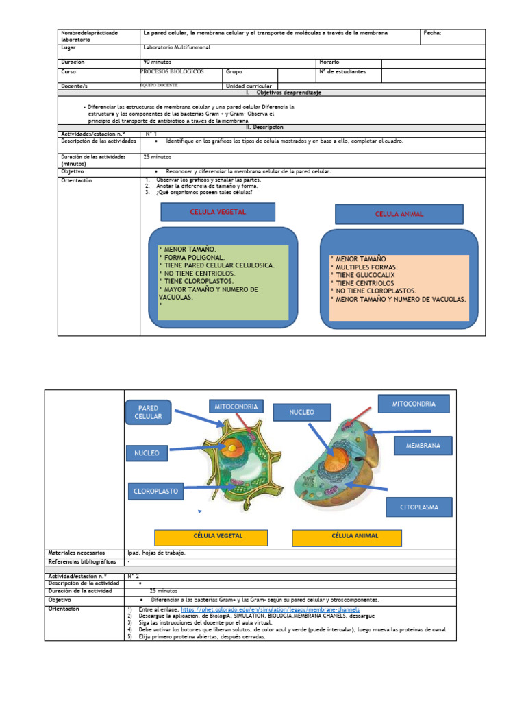 Procesos Biologicos. | Descargar gratis PDF | Biología Celular) | Las ...